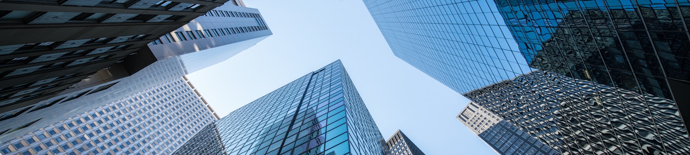 会社概要 | 会社紹介 | ONE JAPAN 新卒採用